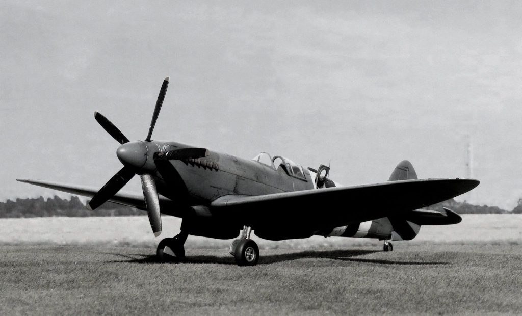 Vexillum Militaris - Supermarine Spitfire Mk XIX (early)